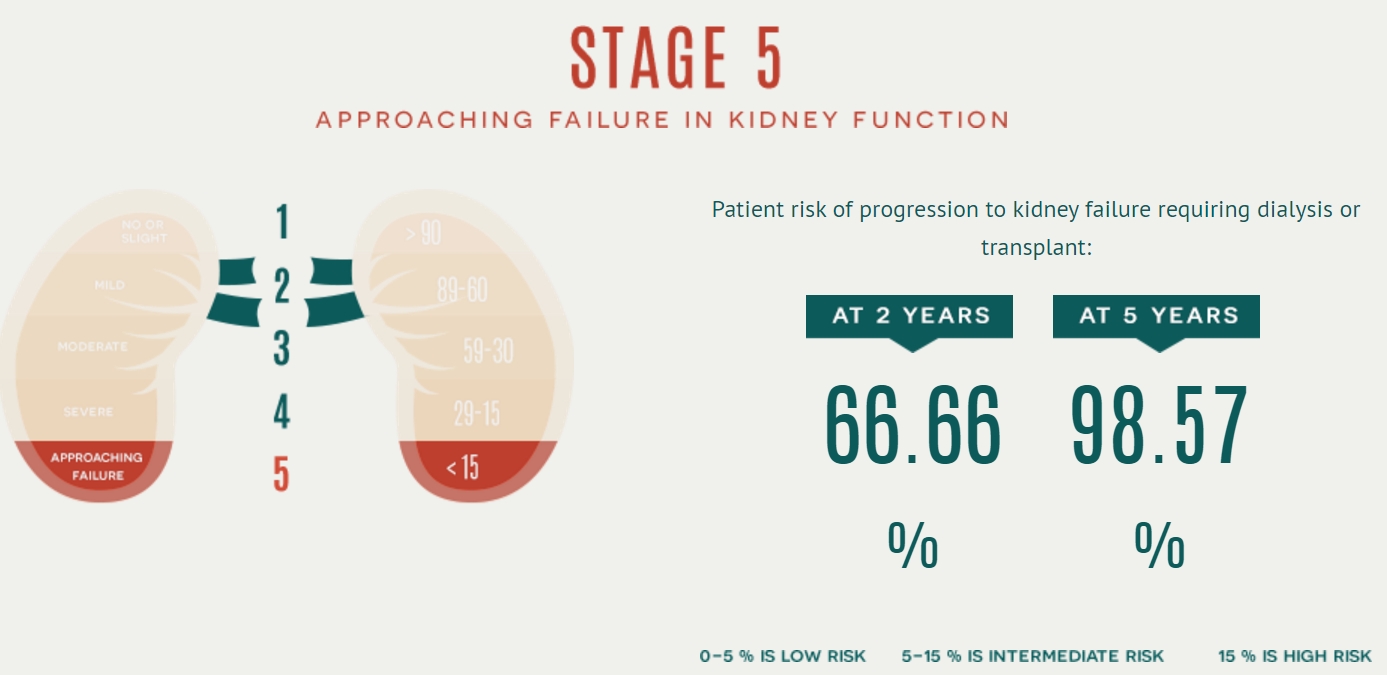 あとどれくらいで透析になるかの指標、4-variable KFRE とは